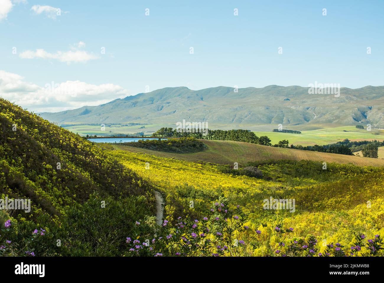 Beautiful greenery hi-res stock photography and images - Alamy