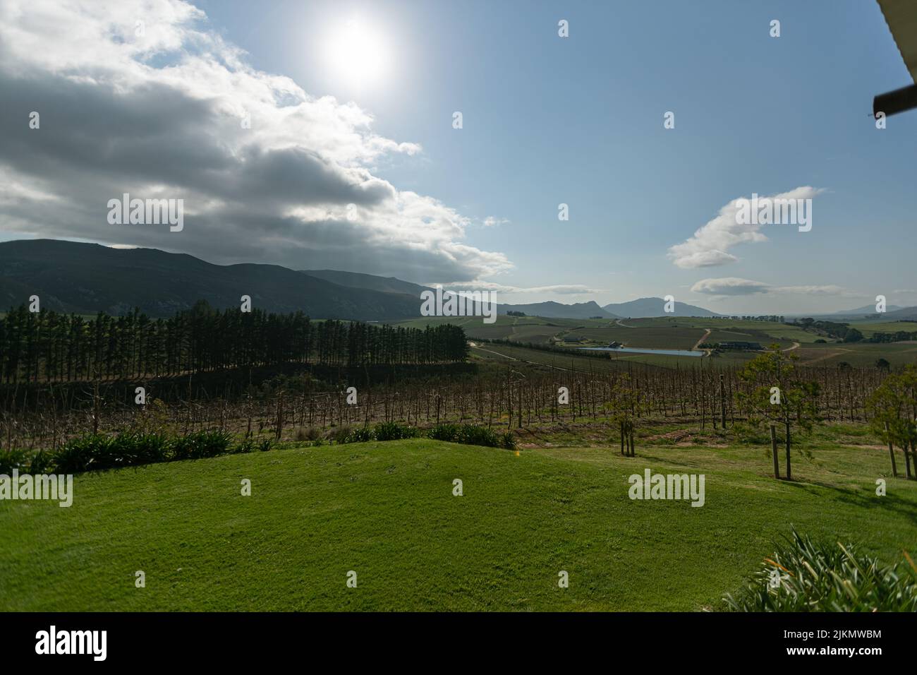 A country landscape with a wine field in Cape Town, South Africa Stock ...