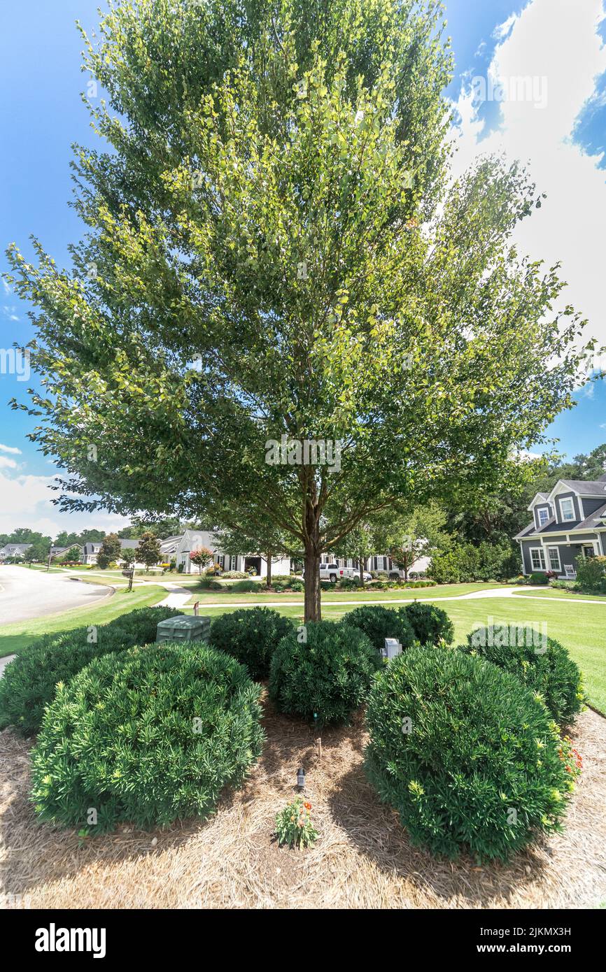 Neat utility wiring hi-res stock photography and images - Alamy