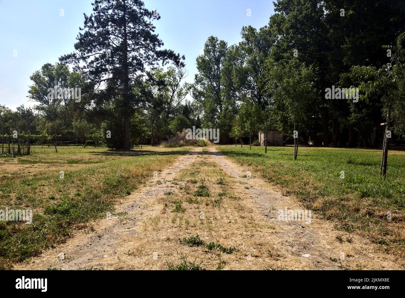 Dirt path with trees in a park Stock Photo - Alamy