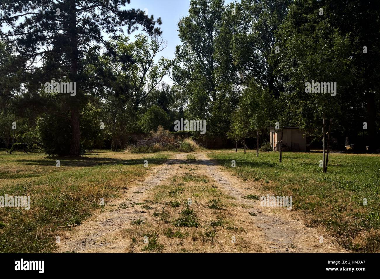 Dirt path with trees in a park Stock Photo - Alamy