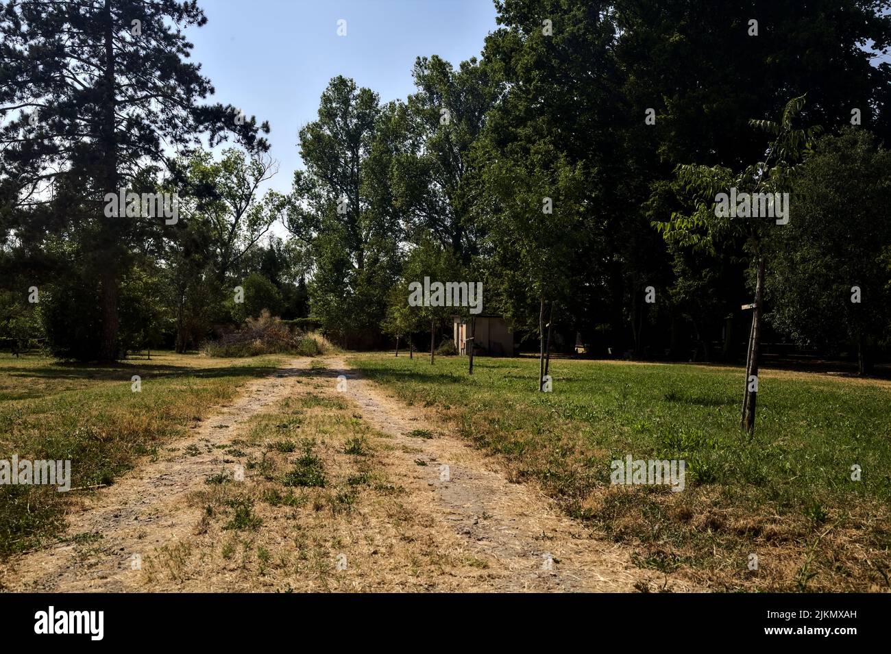 Dirt path with trees in a park Stock Photo - Alamy