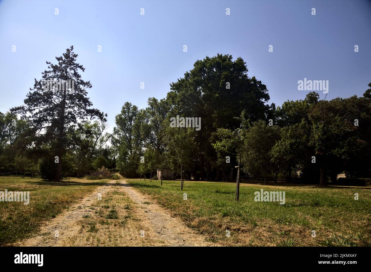 Dirt path with trees in a park Stock Photo - Alamy