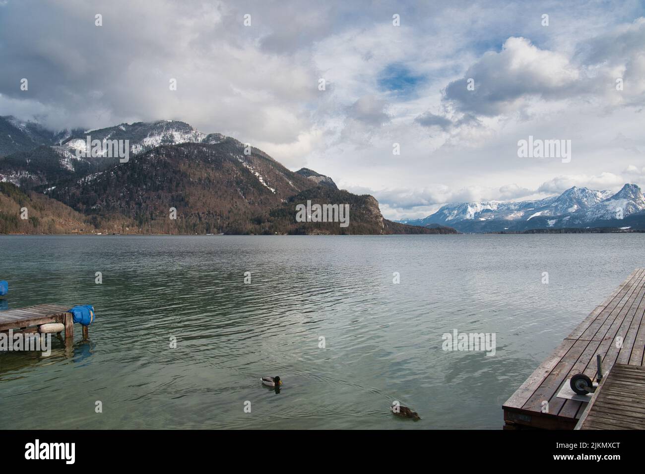 The ducks swimming near the dock in Wolfgangsee lake, Austria Stock ...