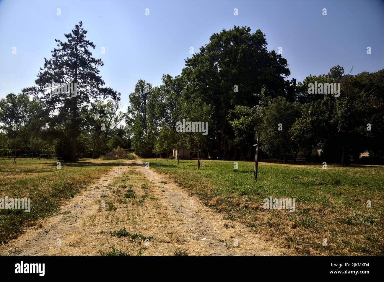Dirt path with trees in a park Stock Photo - Alamy