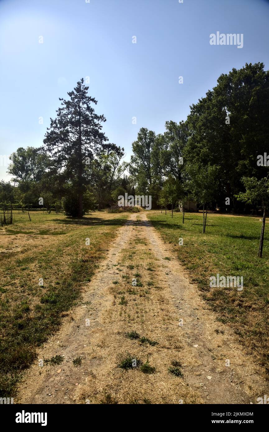 Dirt path with trees in a park Stock Photo - Alamy