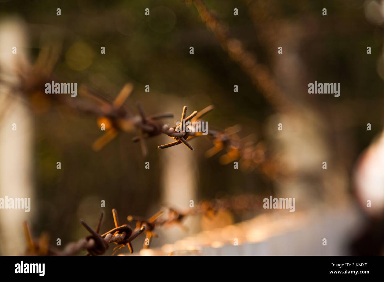 Border security fence closeup hi-res stock photography and images - Alamy