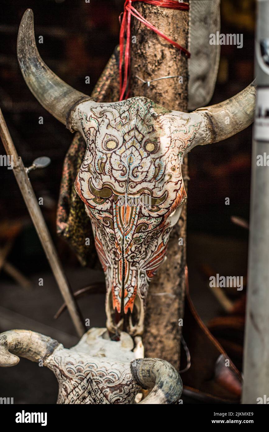 Bull skull hi-res stock photography and images - Alamy