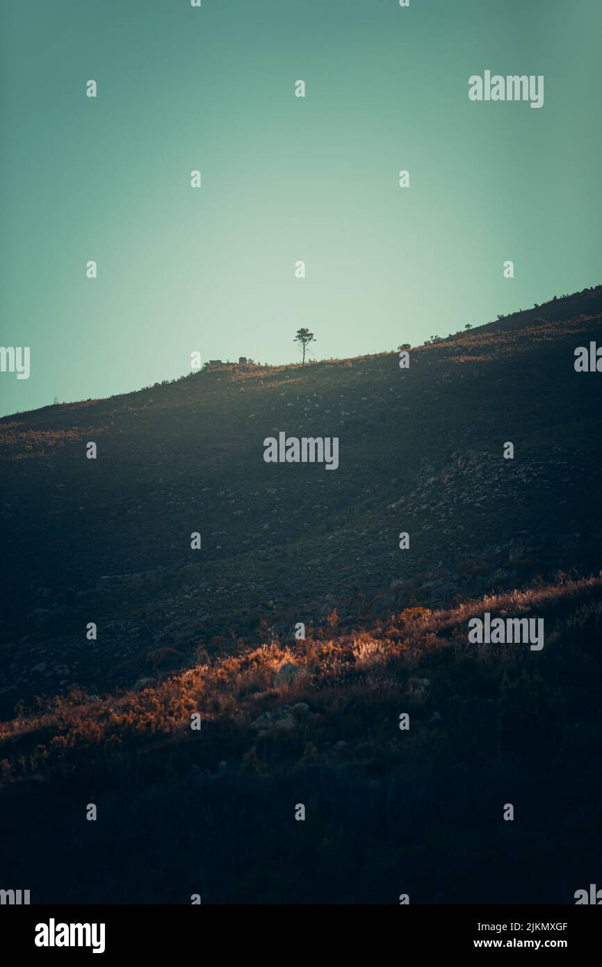 Beautiful vertical shot hill hi-res stock photography and images - Alamy