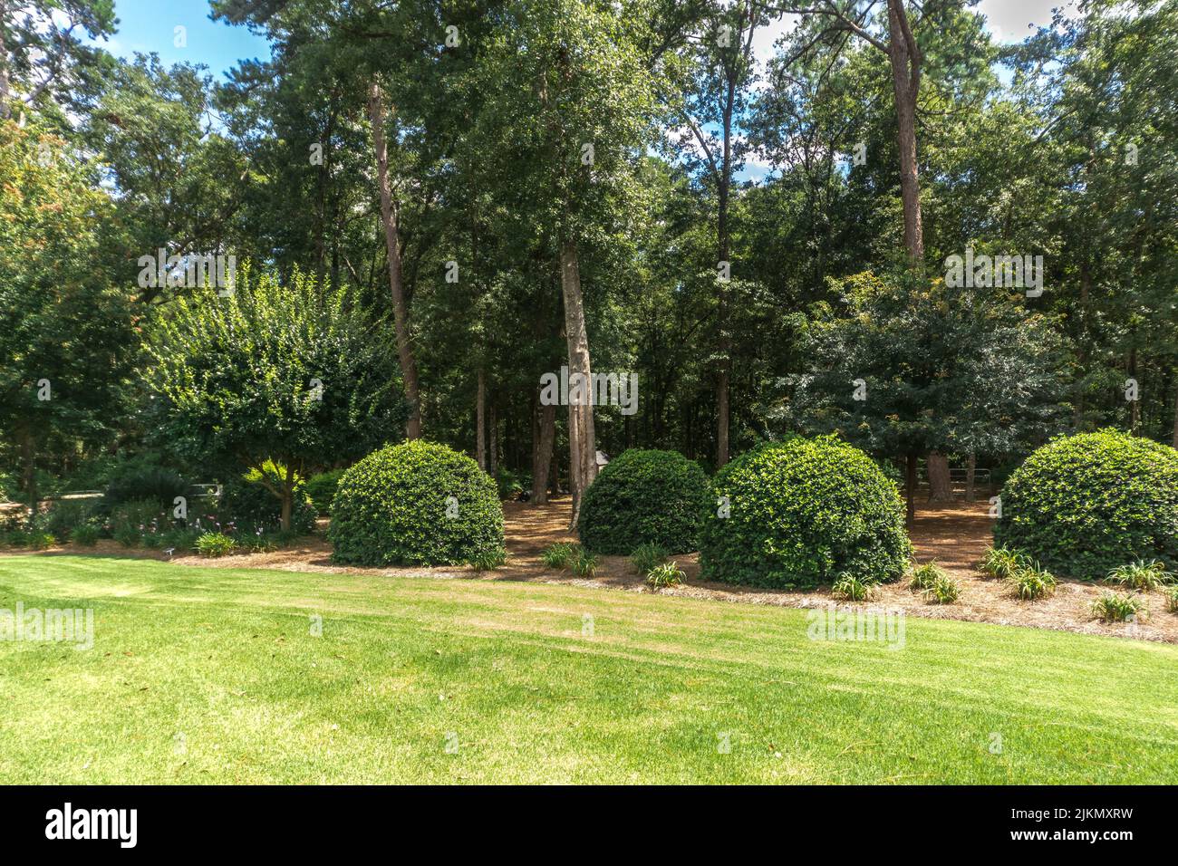 Large backyard hi-res stock photography and images - Alamy