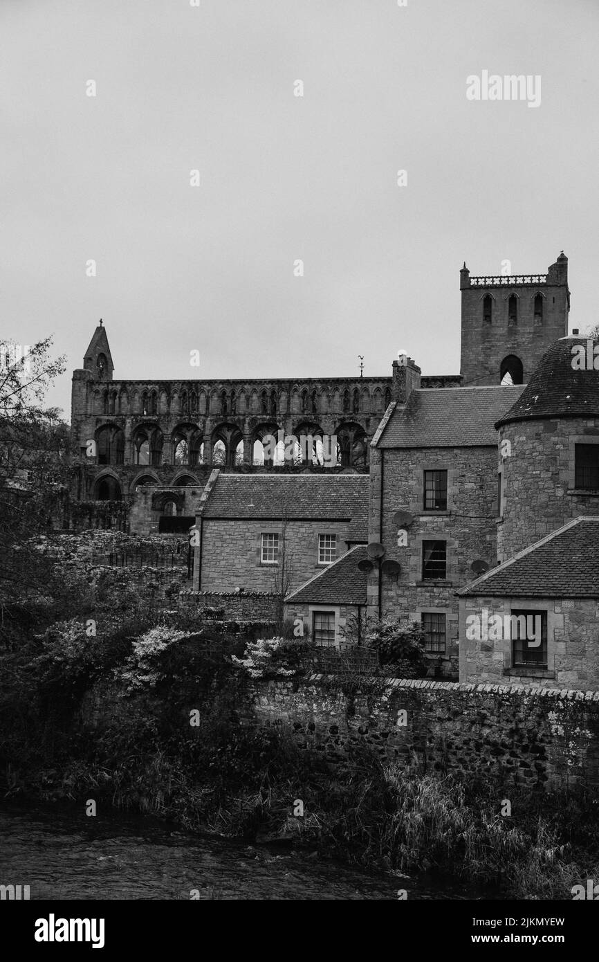 A vertical grayscale shot of Jedburgh Abbey. Jedburgh, in the Scottish ...