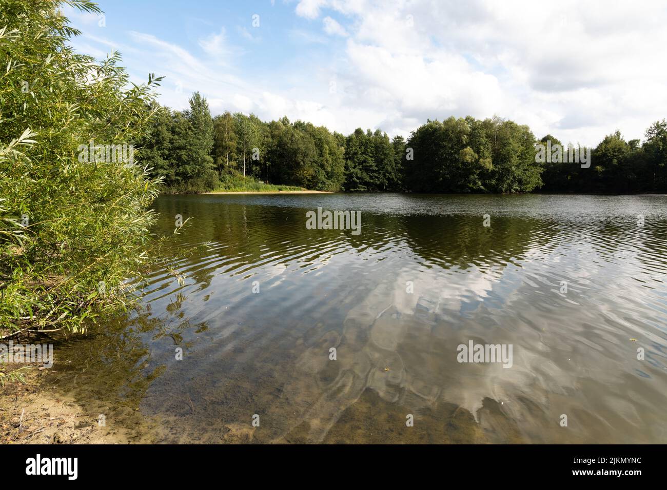 lake in germany with trees and reflection in water Stock Photo - Alamy