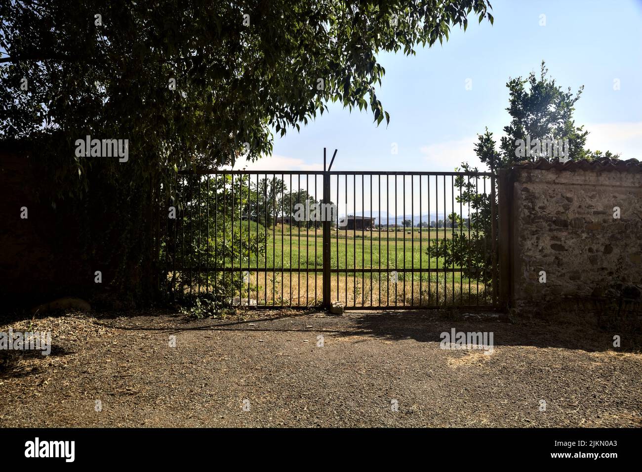 Closed gate and a tree with a field behind them Stock Photo - Alamy