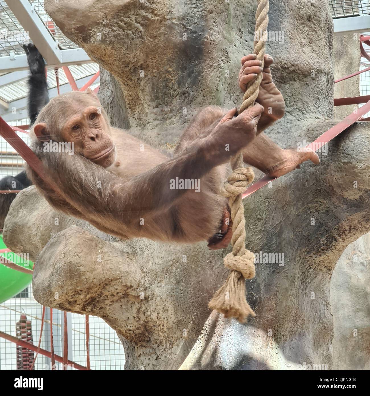 Rope funny hi-res stock photography and images - Alamy