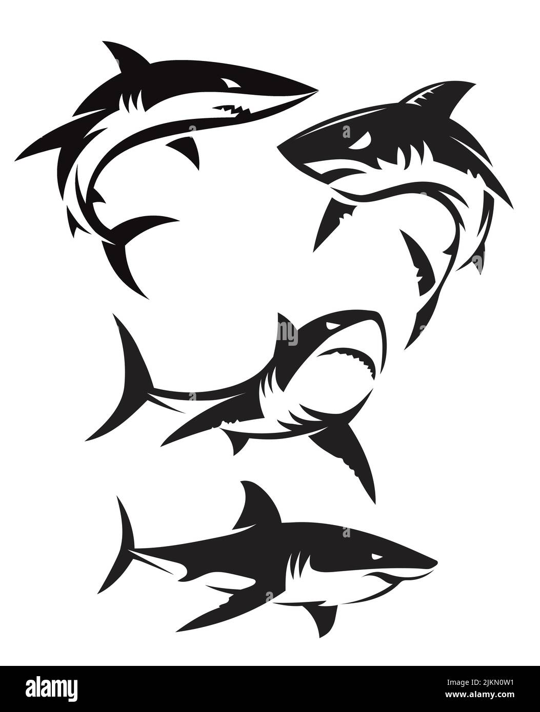 Beautiful black sharks from different angles on the white background ...