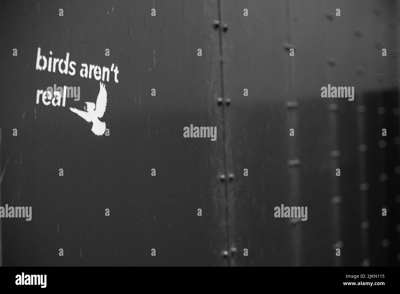 A closeup grayscale shot of the birds aren't real quote on the metal ...