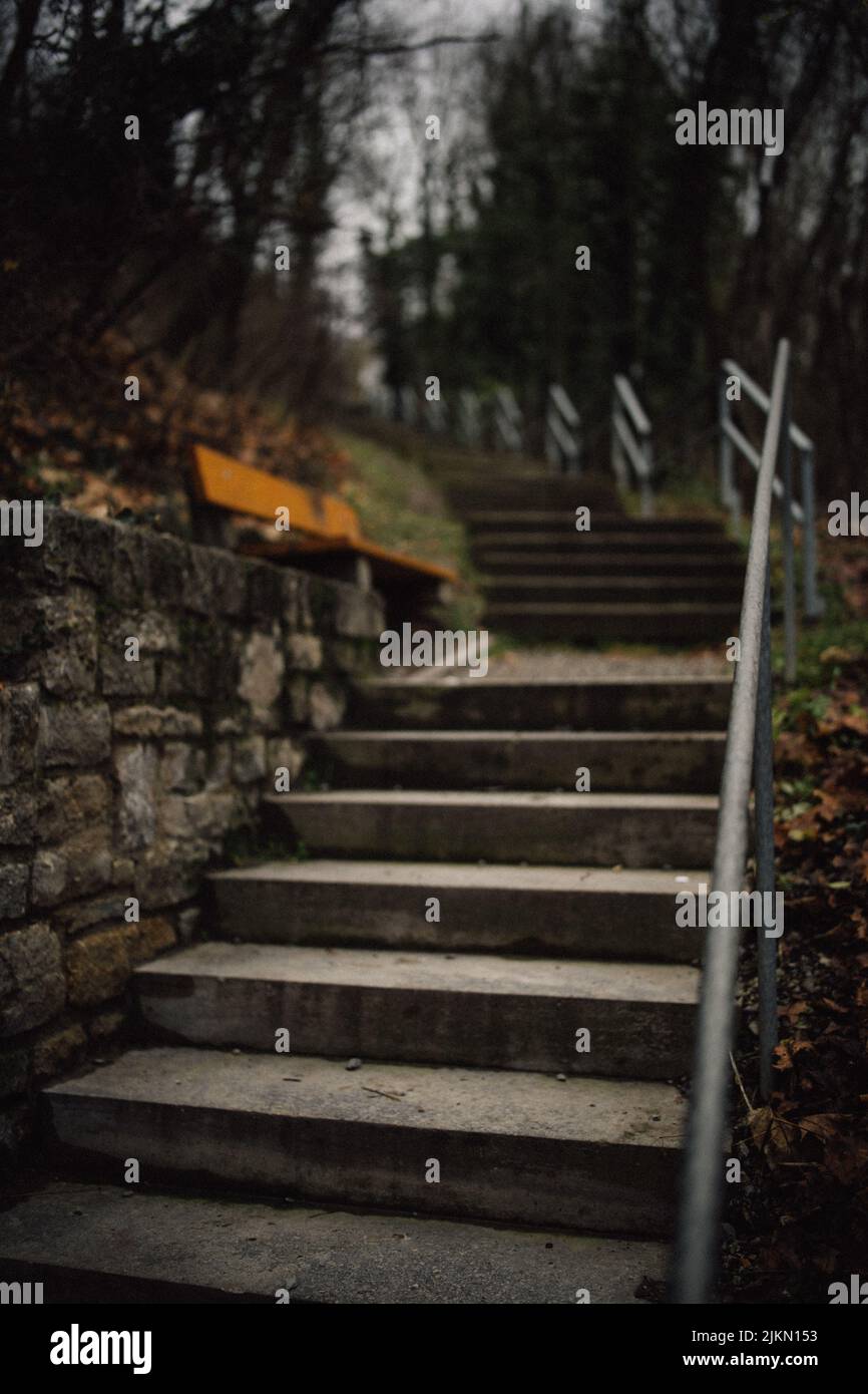 Stairs leading to a garden hi-res stock photography and images - Alamy
