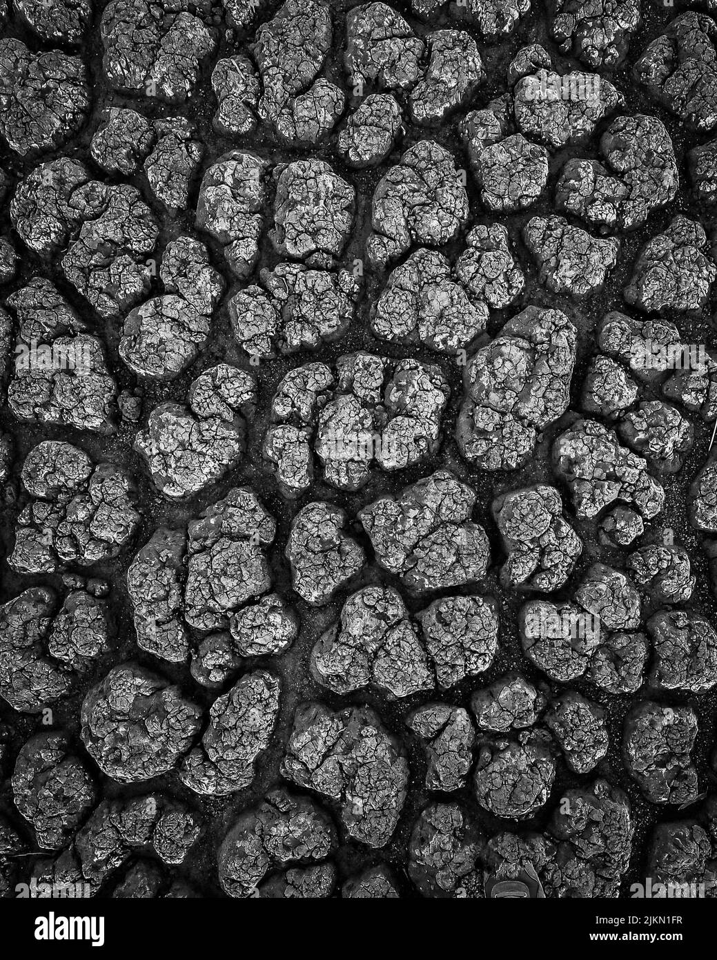 Natural ground background Black and White Stock Photos & Images - Alamy