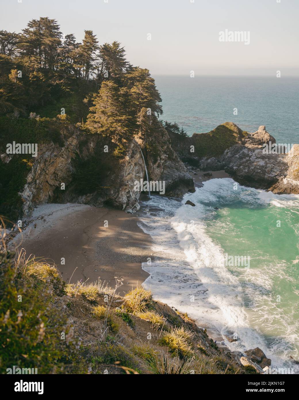 Small beach surrounded forest hi-res stock photography and images - Alamy