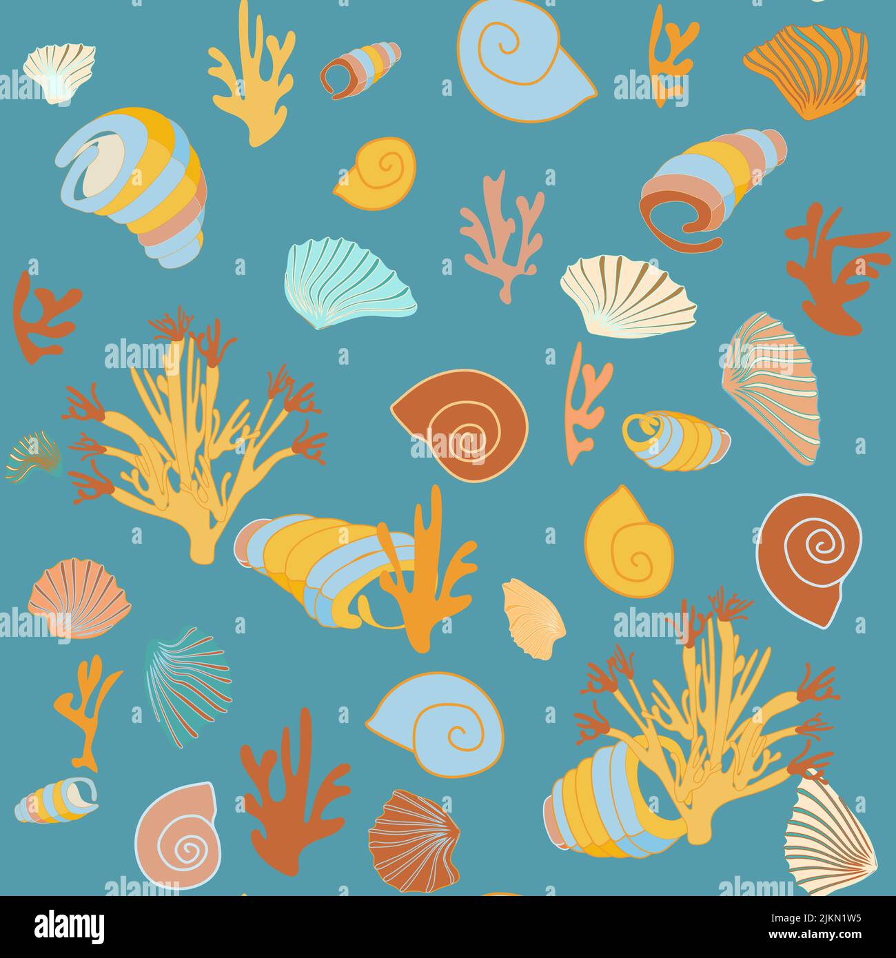 a pattern without a background of colorful shells and corals Stock ...
