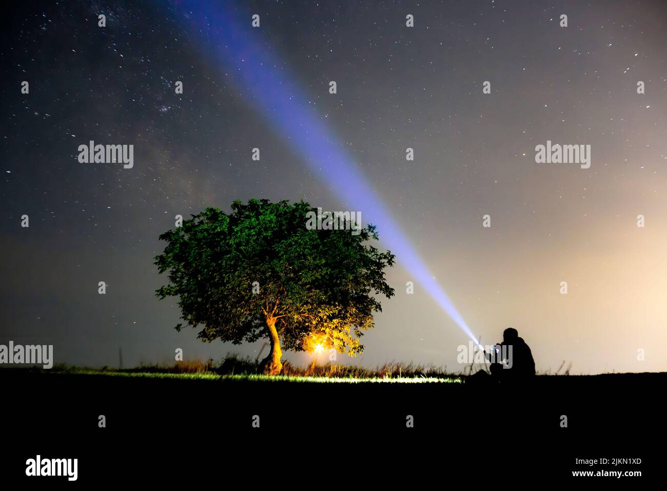 A view of a male with a flashlight in his hand sitting near the lush ...
