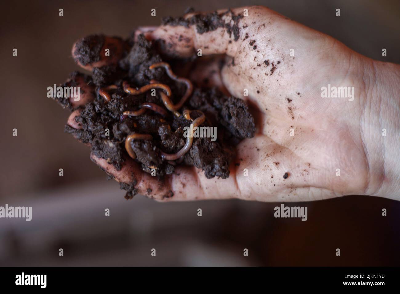 Worms soil child hi-res stock photography and images - Alamy