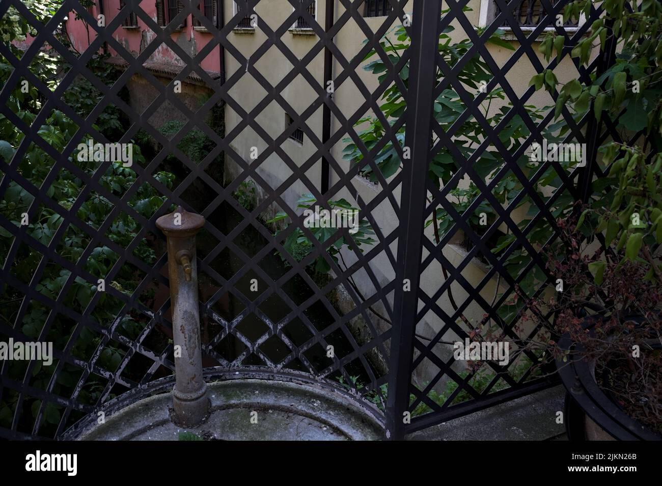 Old public fountain in front of a fence with a row of houses and a fig ...