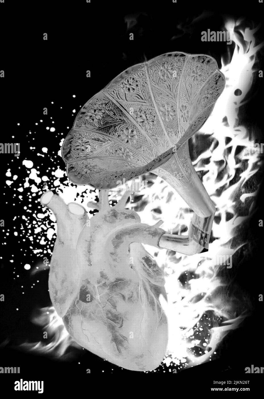 A vertical shot of the musical instrument in the heart in grayscale ...