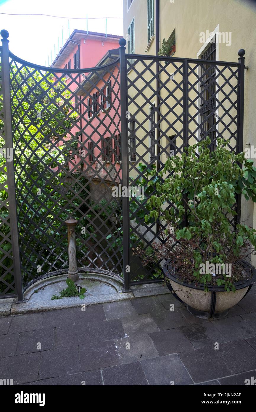 Old public fountain in front of a fence with a row of houses and a fig ...