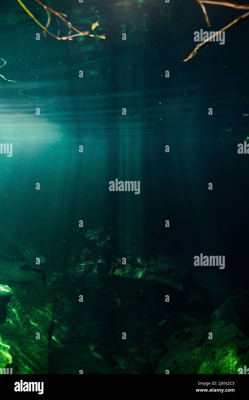 An underwater scene with sun rays shining through the water Stock Photo ...