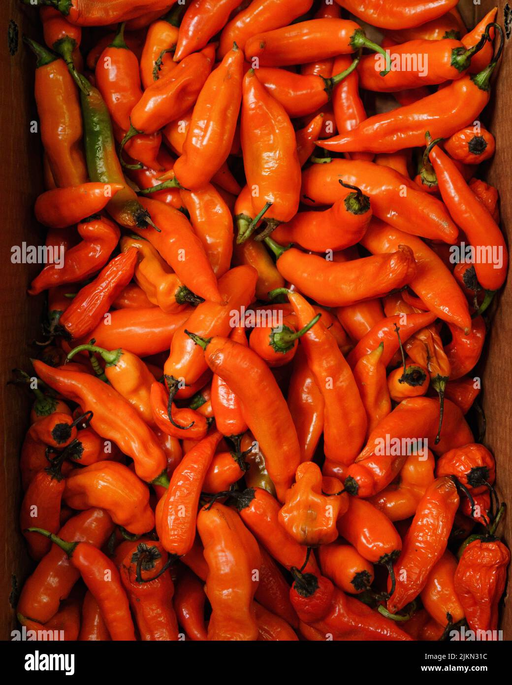 A top view of orange chili peppers inside a box in the market Stock ...