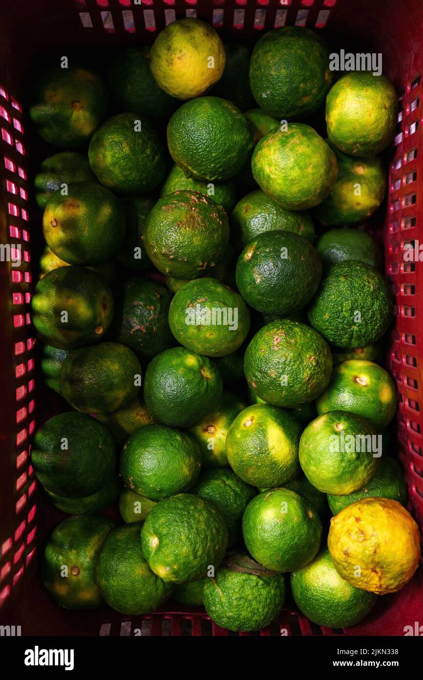 A top view of green lemons inside the crate Stock Photo - Alamy