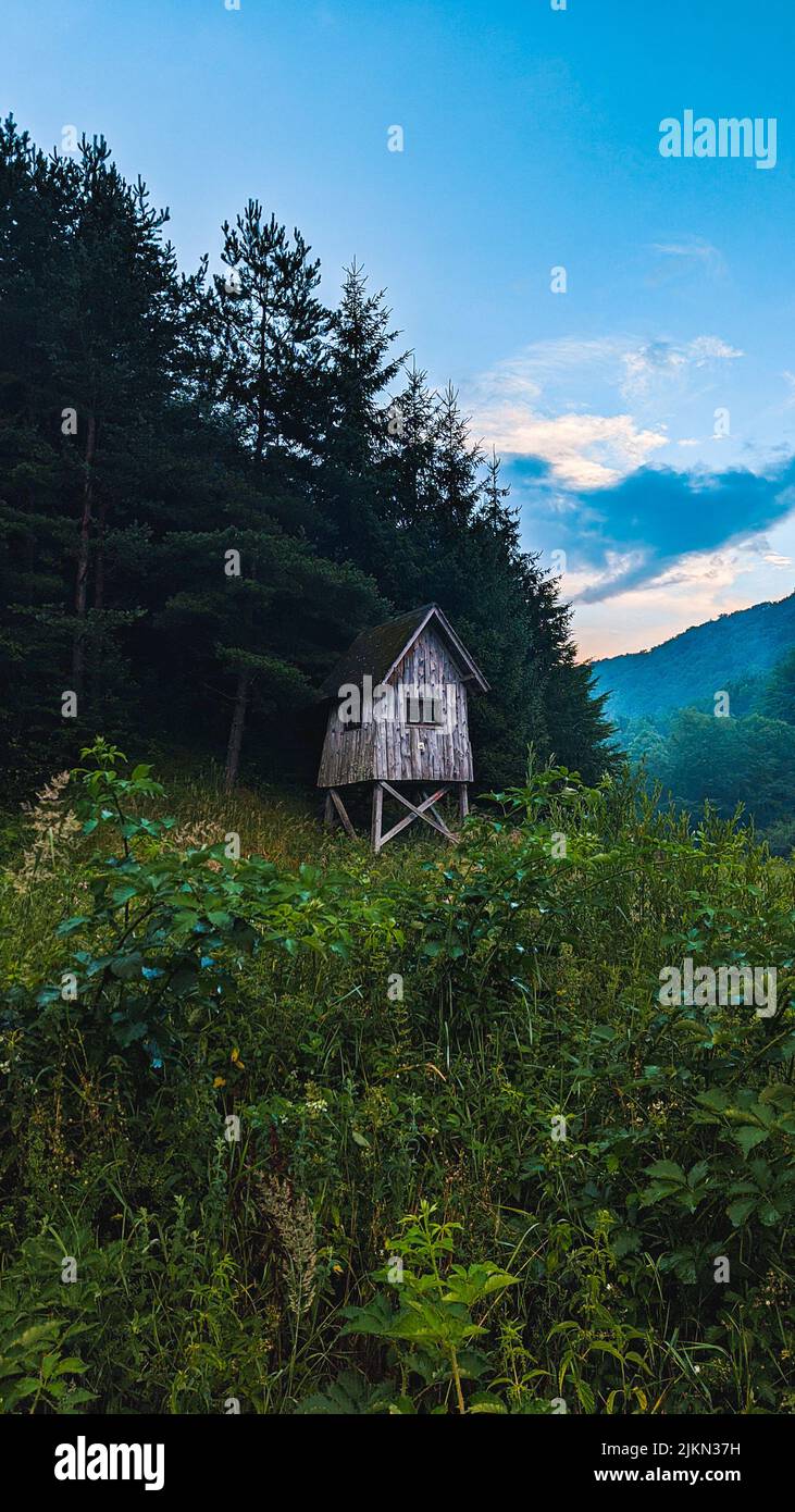 A vertical shot of the old wooden hunting viewpoint in the green forest ...