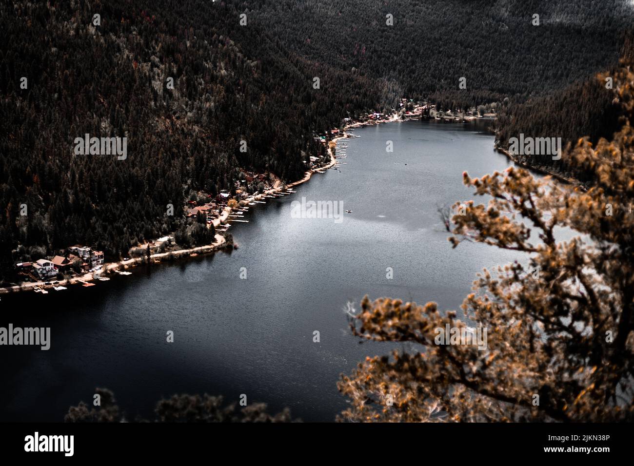 An aerial view of calm lake water with forest trees and buildings by ...