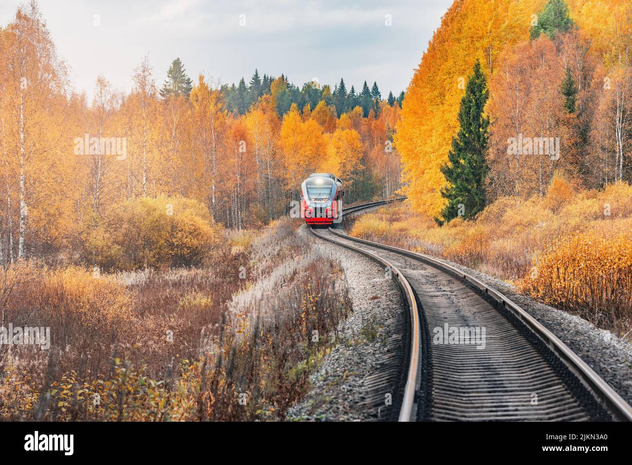 Passenger train moves at autumn morning time Stock Photo - Alamy