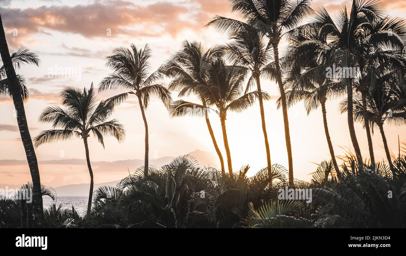 Maui paradise tropical sunset hi-res stock photography and images - Alamy