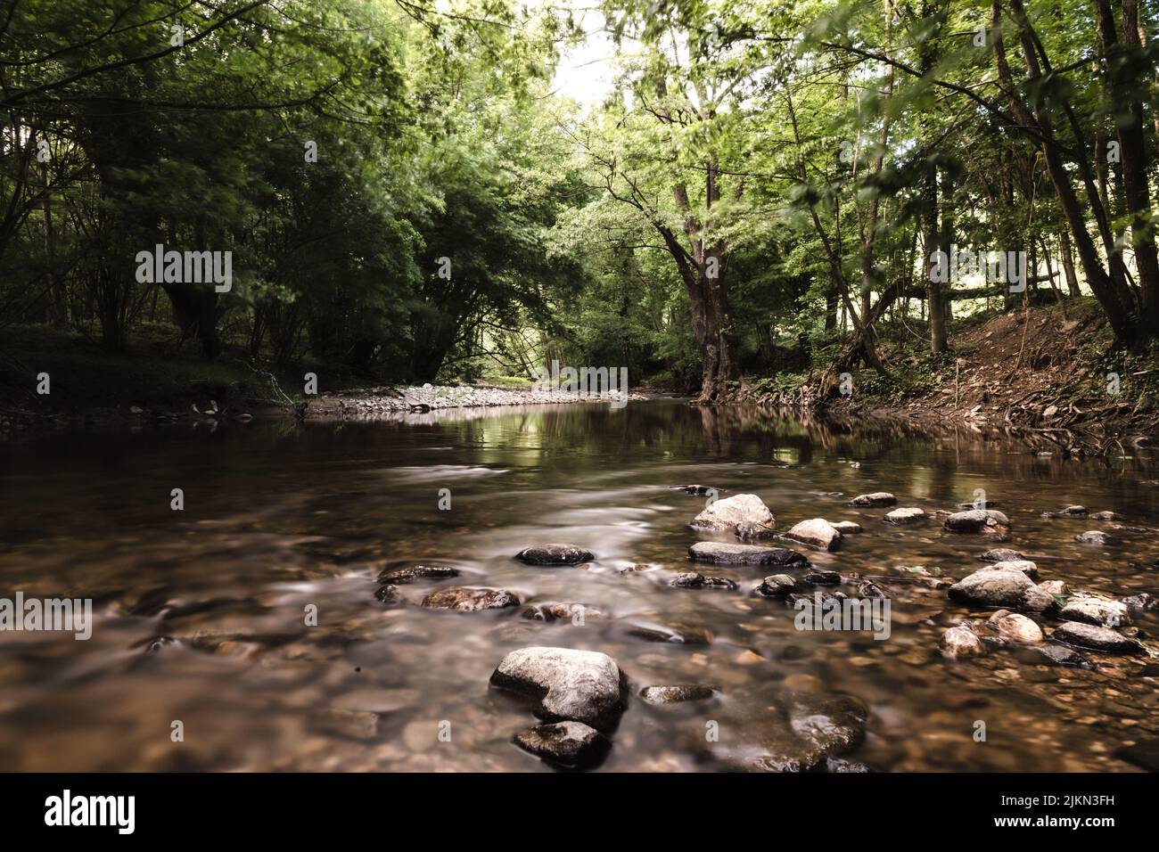 A panoramic view of river in the forest Stock Photo - Alamy