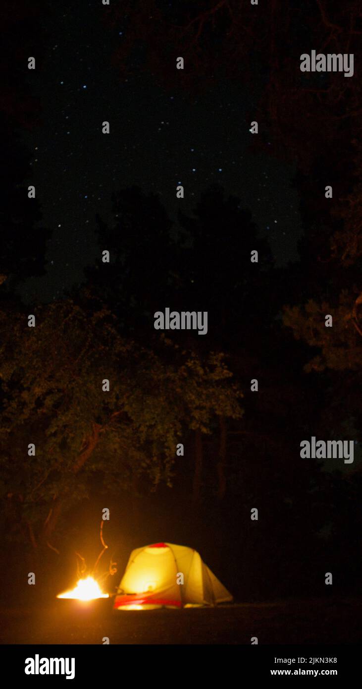 A vertical shot of a tent and a bonfire at night under the starry dark ...