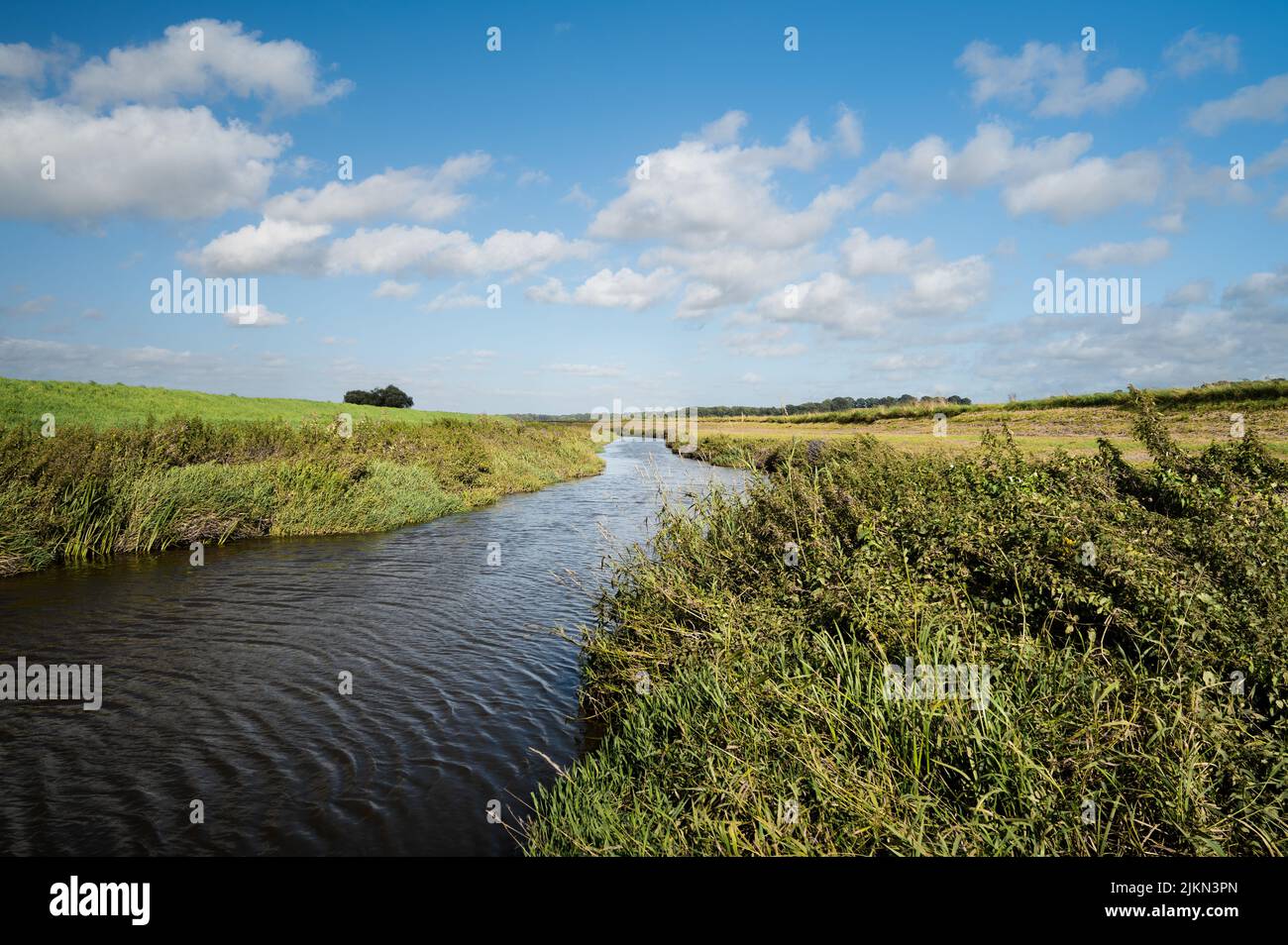 A river in a sunny rural field Stock Photo - Alamy