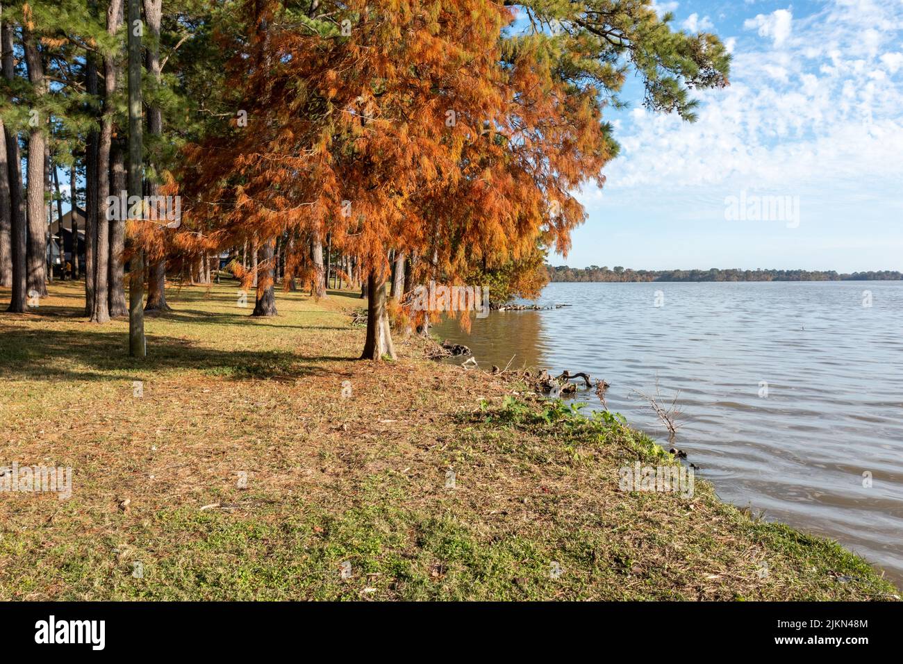 Sunny autumn beach hi-res stock photography and images - Alamy