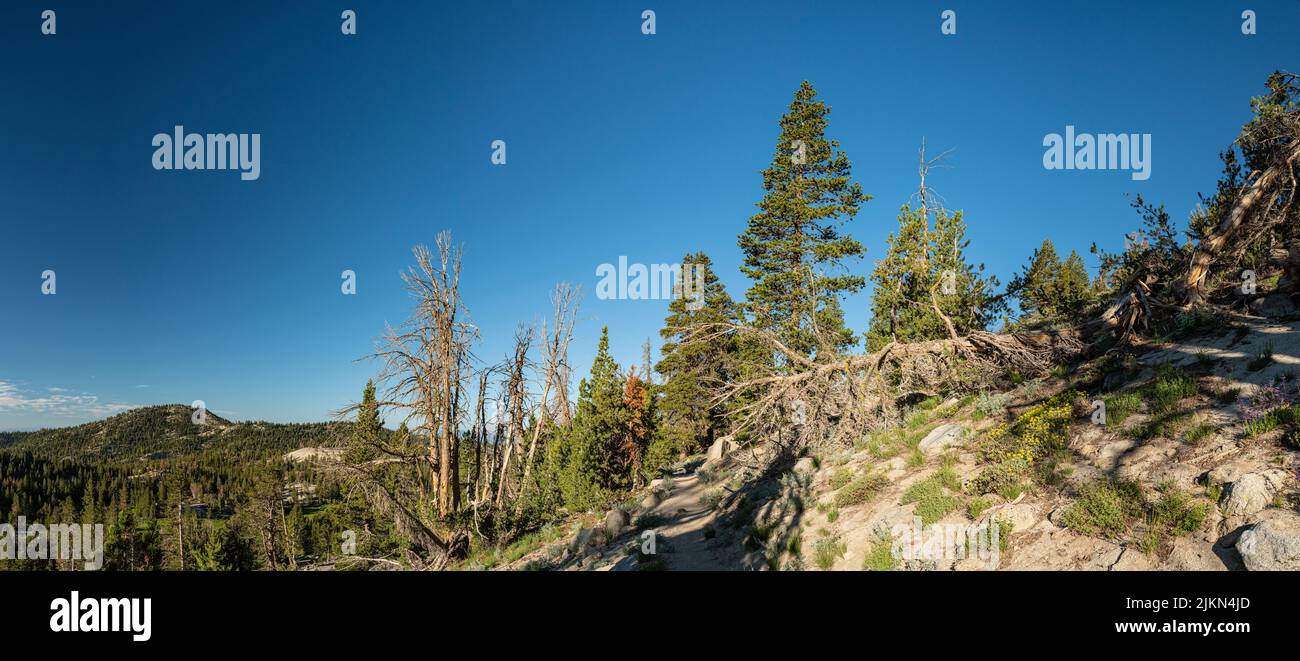 Mountain hiking trail leads along a tall ridge in the Sierra Nevada ...