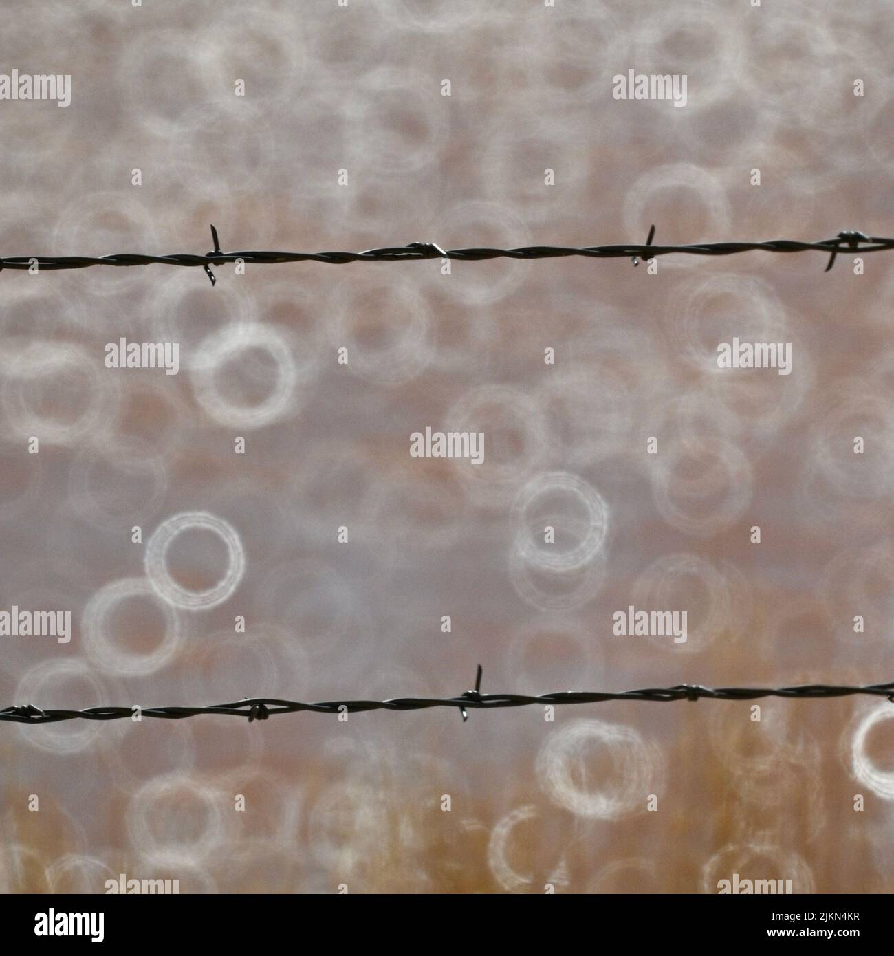 Closeup wire fence blurry hi-res stock photography and images - Alamy