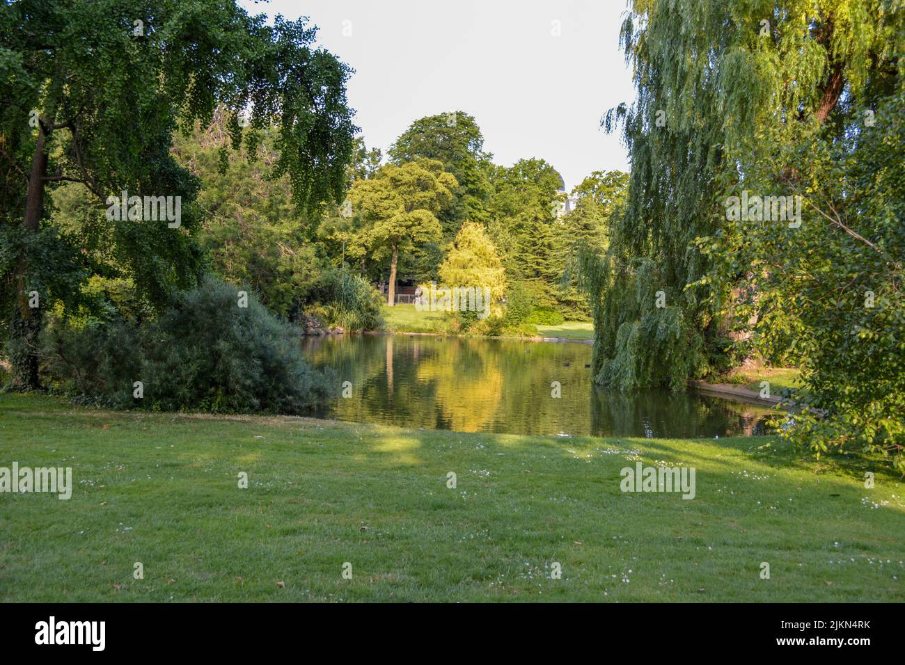 A beautiful landscape shot of green grass with pond water and trees in ...