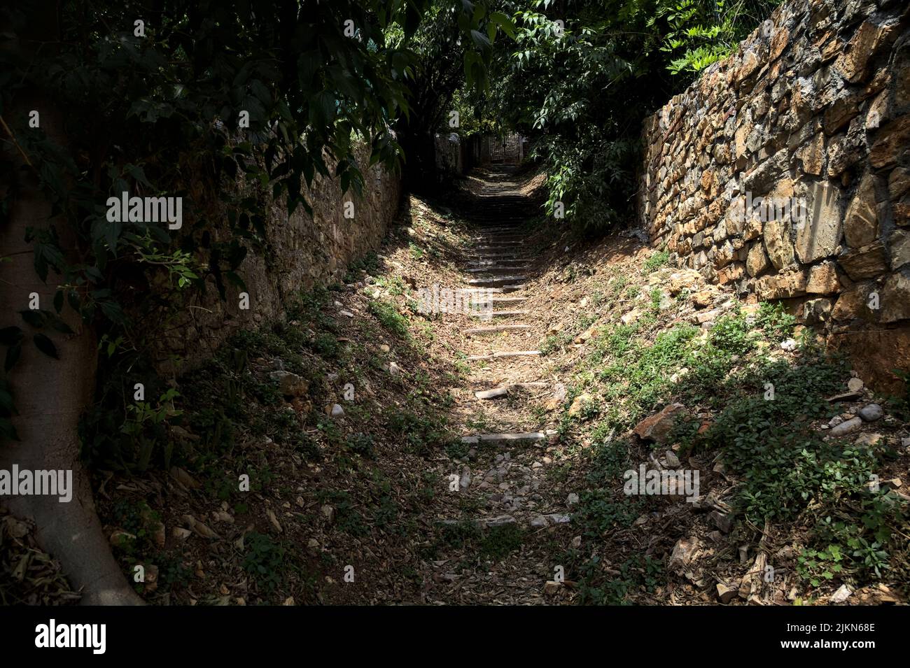 Uphill staircase bordered by stone walls in a grove with trees arching ...