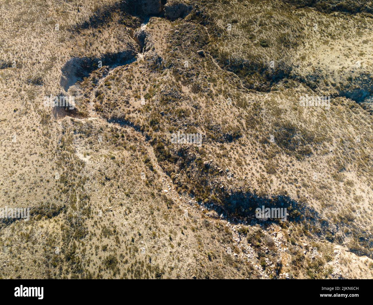 Top view desert landscape vegetation hi-res stock photography and ...