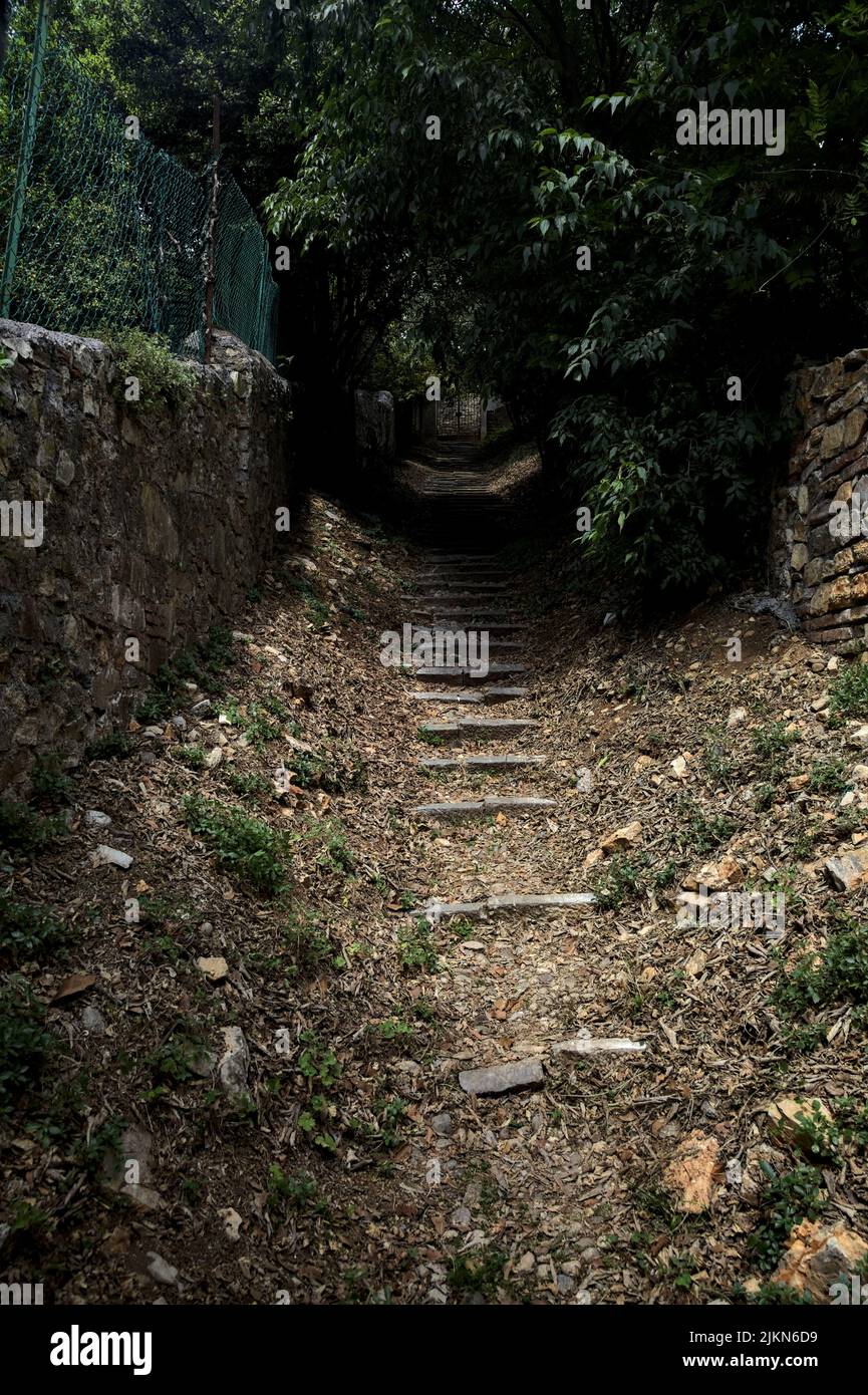 Uphill staircase bordered by stone walls in a grove with trees arching ...