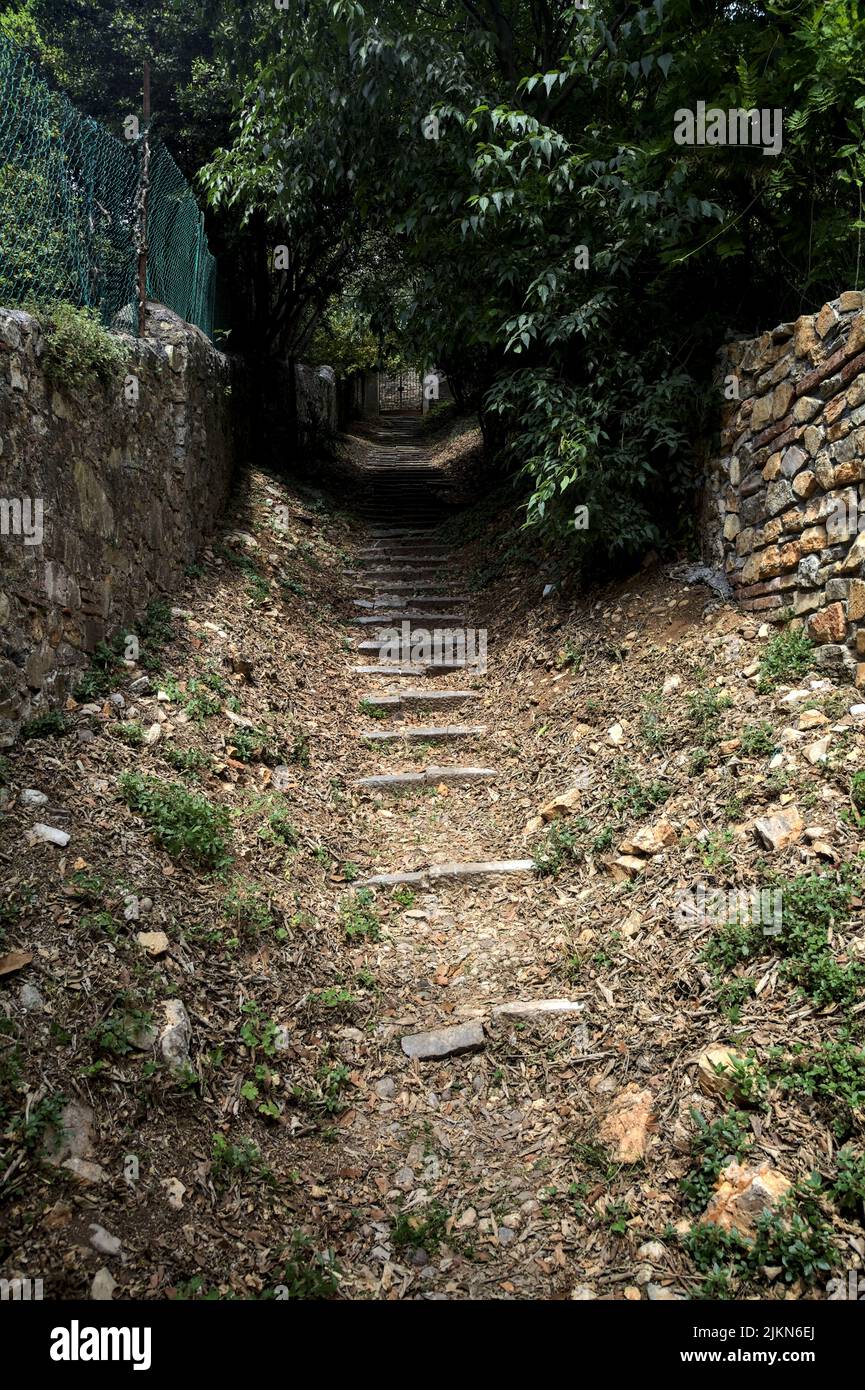 Uphill staircase bordered by stone walls in a grove with trees arching ...