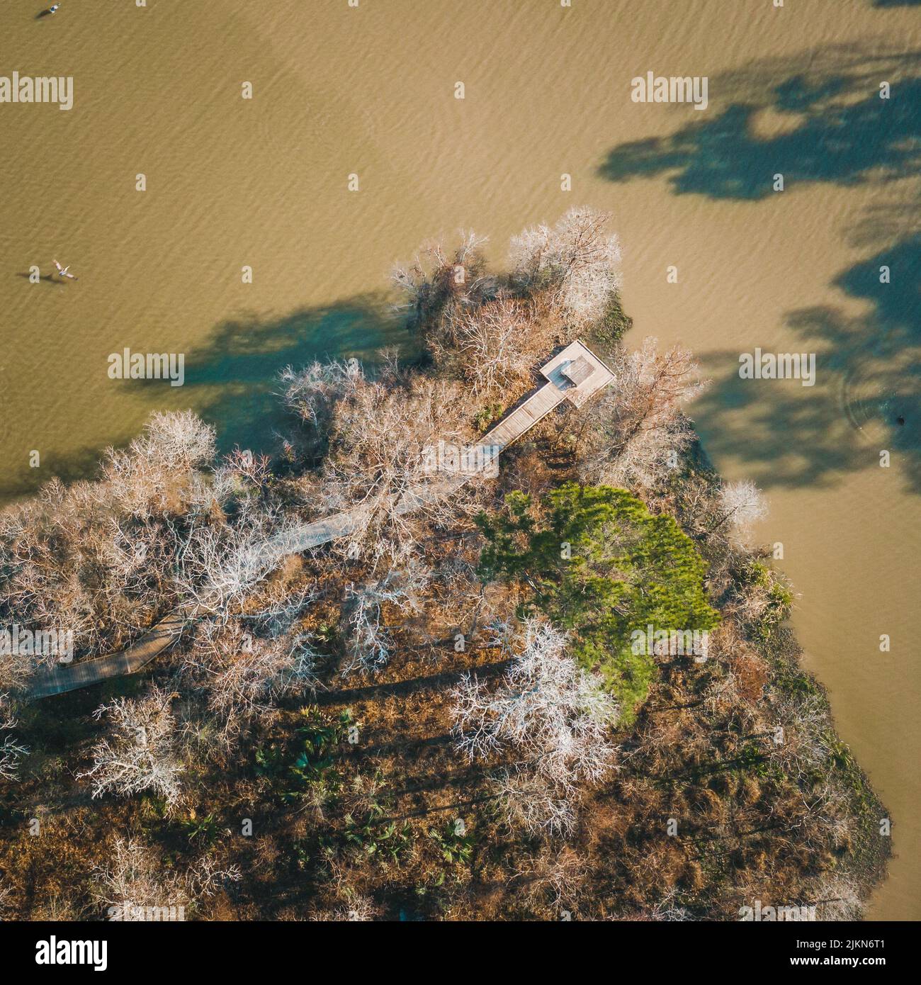 An aerial view of a path through the forest leading to the lakeshore ...