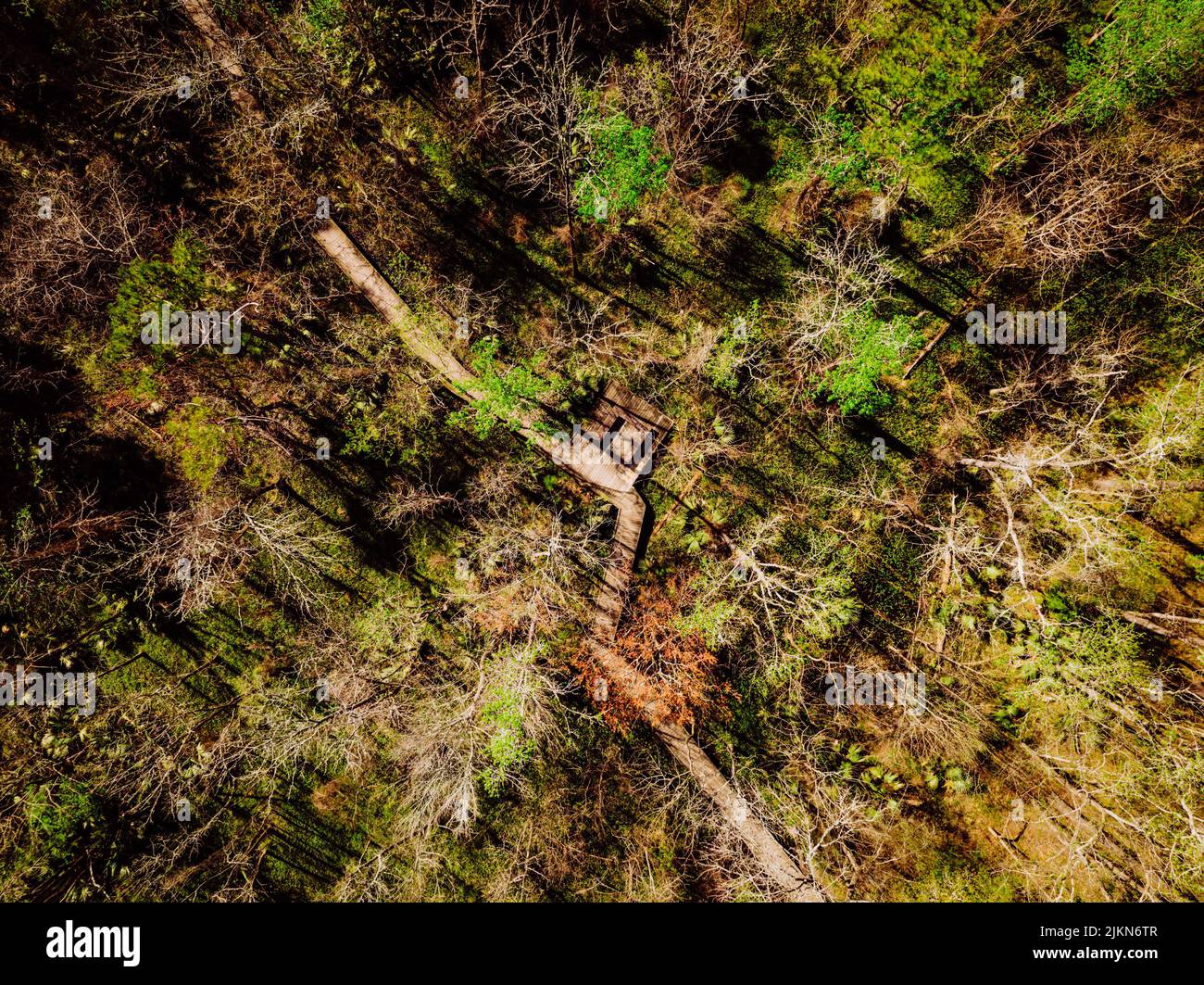 An aerial view of a path through the forest under the sunlight Stock ...