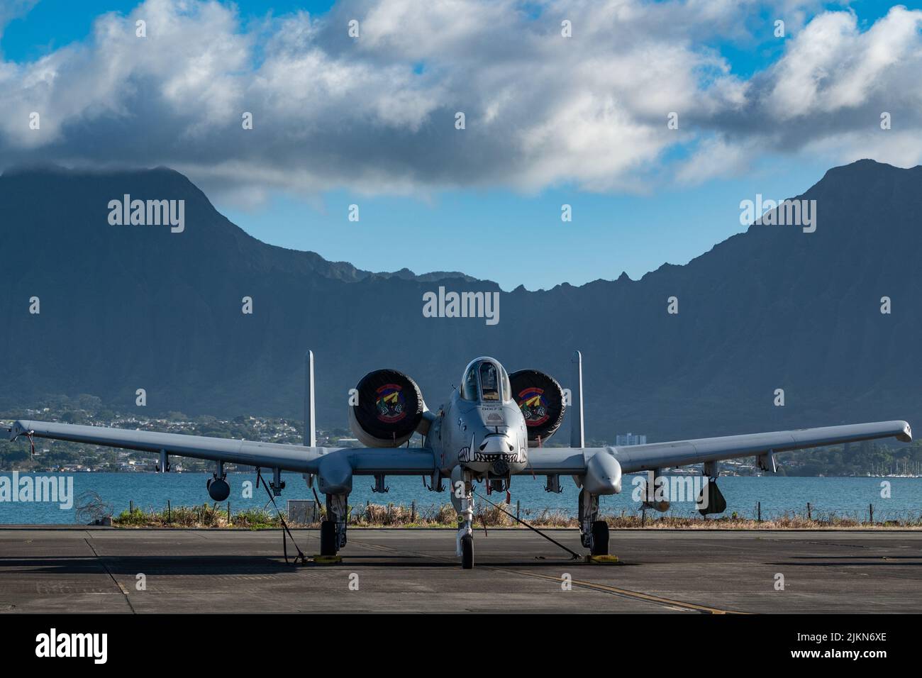 More than 200 Airmen and 10 A-10 Thunderbolt II Warthogs from the 924th ...